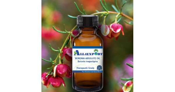 BORONIA ABSOLUTE OIL