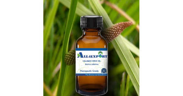 CALAMUS SPICE OIL