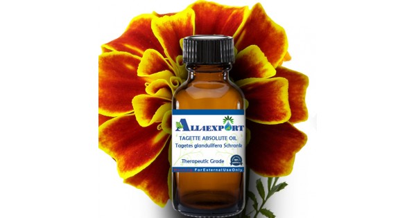 TAGETTE ABSOLUTE OIL