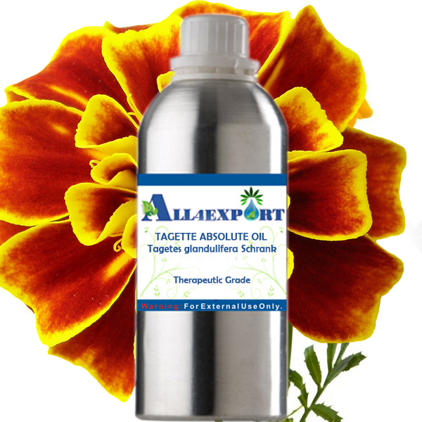 TAGETTE ABSOLUTE OIL