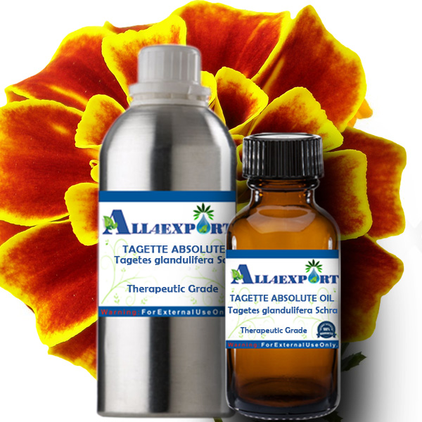 TAGETTE ABSOLUTE OIL