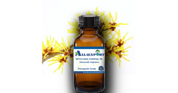 WITCH HAZEL ESSENTIAL OIL